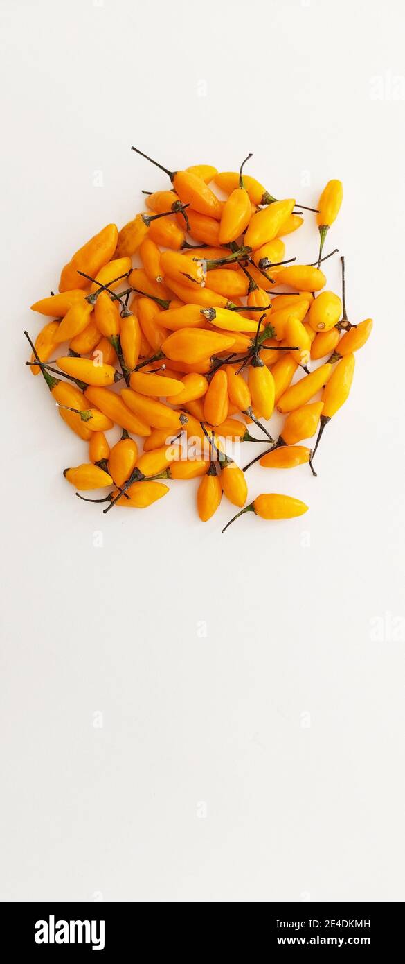 Fidalga hi-res stock photography and images - Alamy