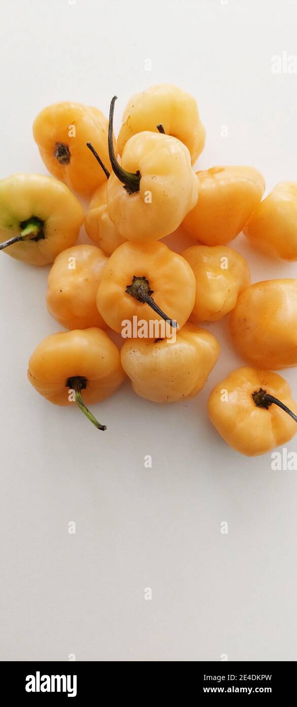 Cheiro High Resolution Stock Photography and Images - Alamy