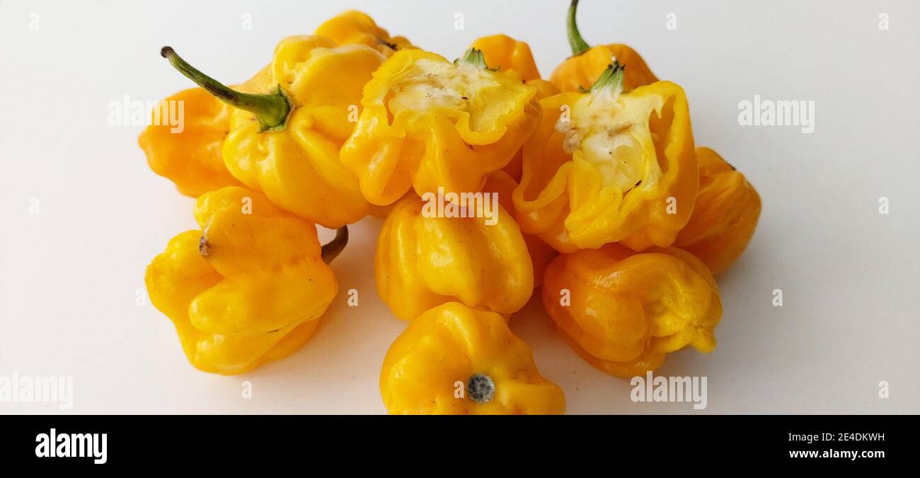 Cheiro hi-res stock photography and images - Alamy