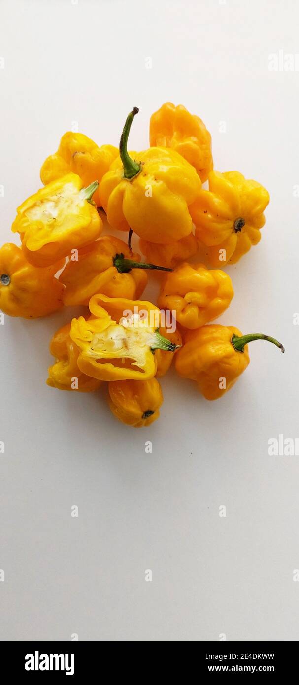 Pimenta-de-cheiro ardida pepper, São Paulo, Brazil Stock Photo - Alamy