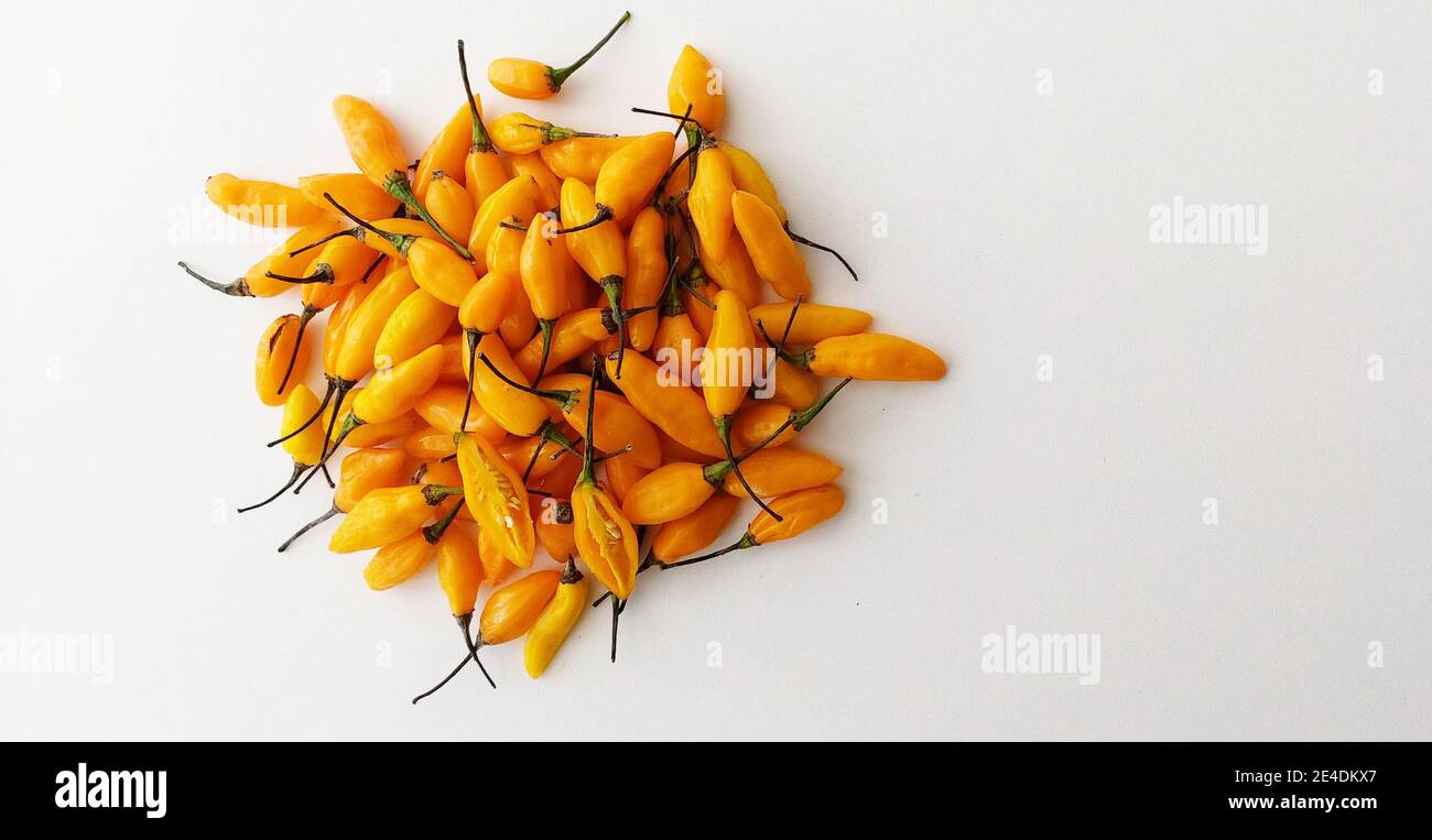 Fidalga pepper, São Paulo, Brazil Stock Photo - Alamy