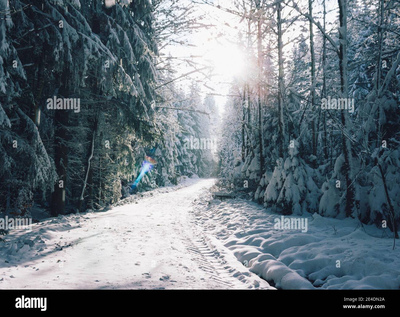 Cold colours hi-res stock photography and images - Alamy