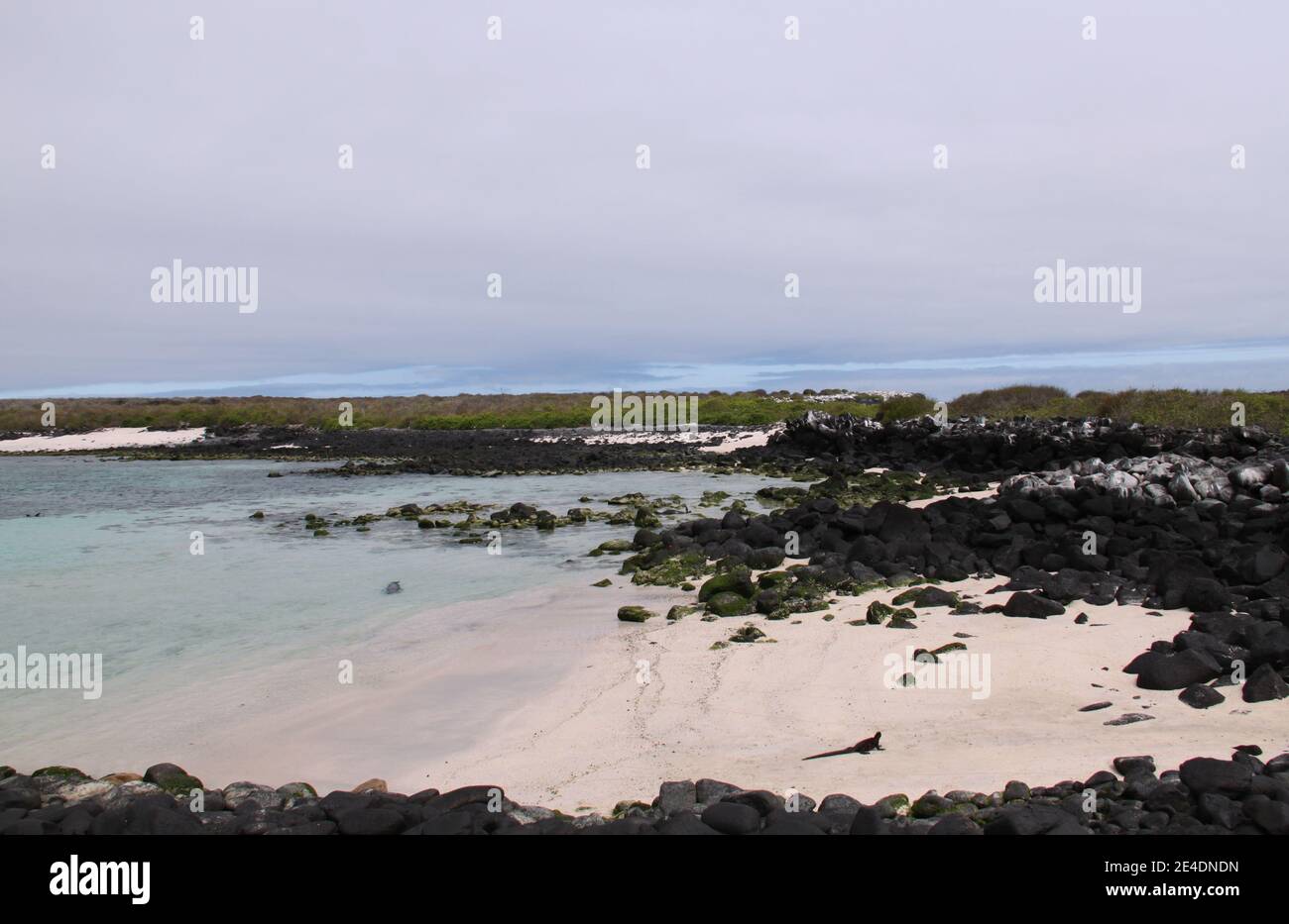 Landscape of the Galapagos Islands Stock Photo - Alamy
