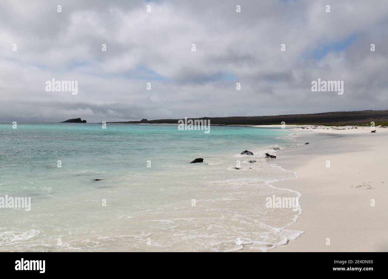 Landscape of the Galapagos Islands Stock Photo - Alamy