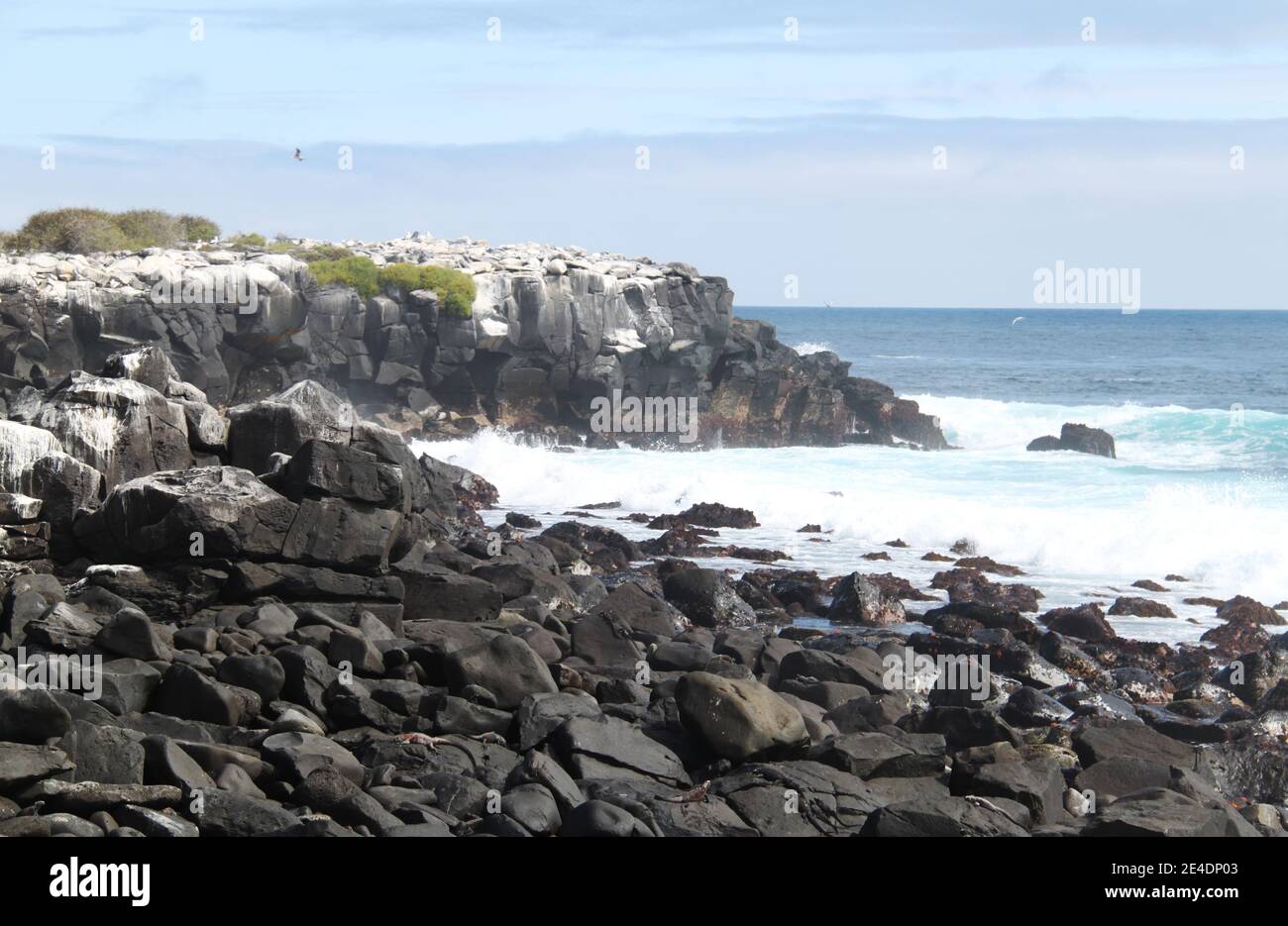 Landscape of the Galapagos Islands Stock Photo - Alamy