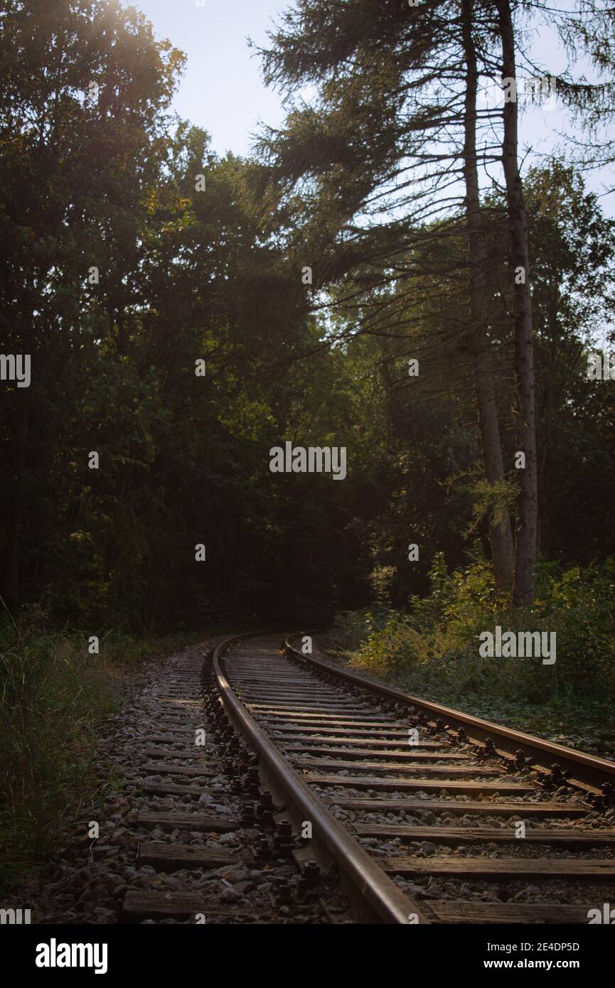 Railroad in forest hi-res stock photography and images - Alamy
