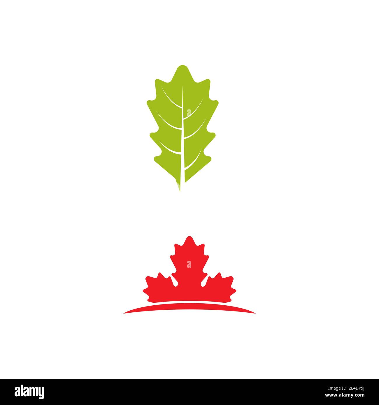 Maple leaf vector illustration design template Stock Vector Image & Art ...
