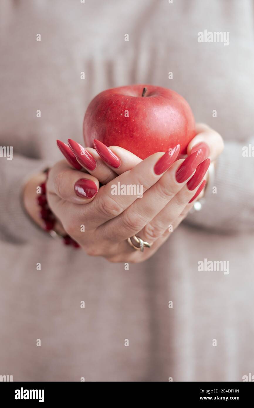 Woman's hands with red long nails are holding a ripe red apple fruit ...