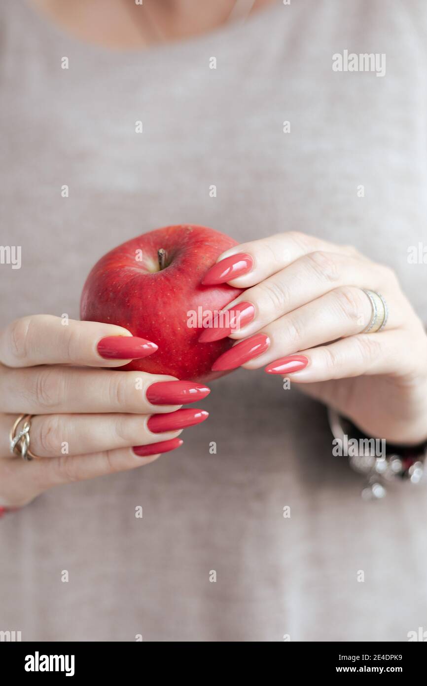 Woman's hands with red long nails are holding a ripe red apple fruit ...