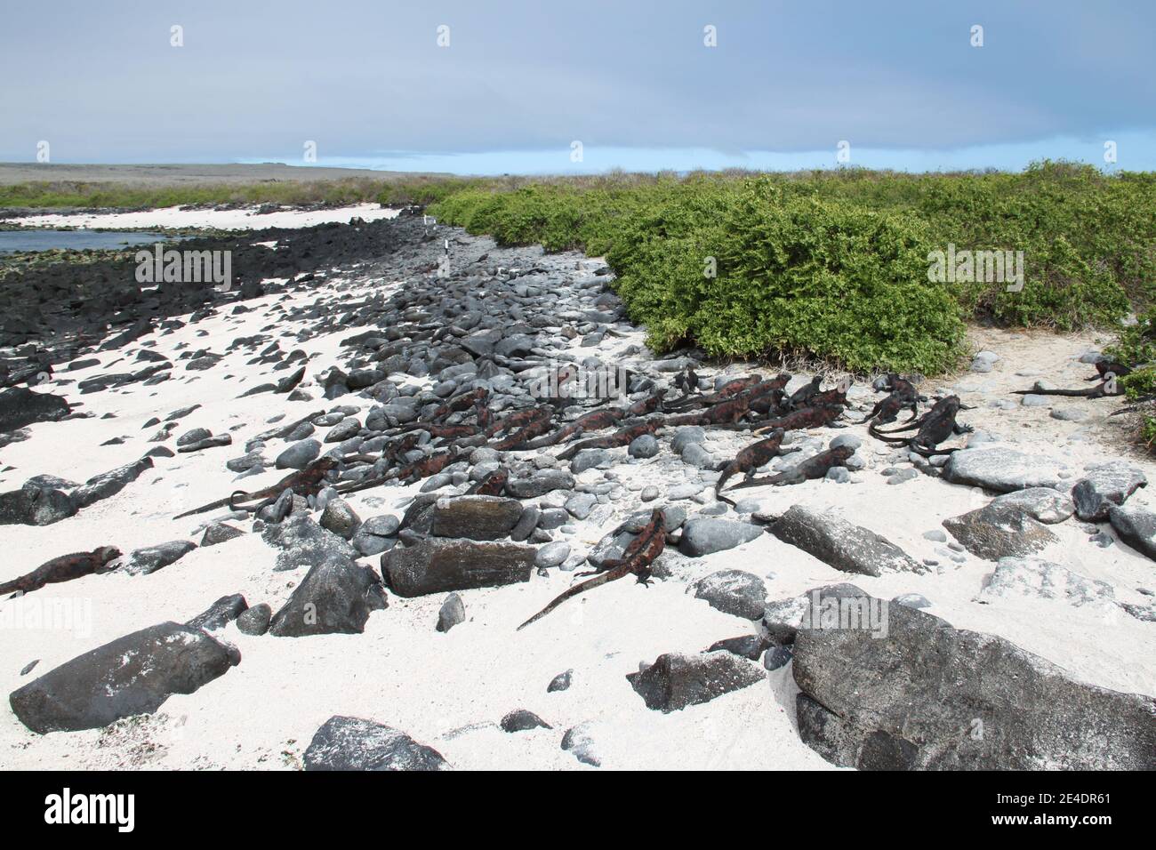 Landscape of the Galapagos Islands Stock Photo - Alamy