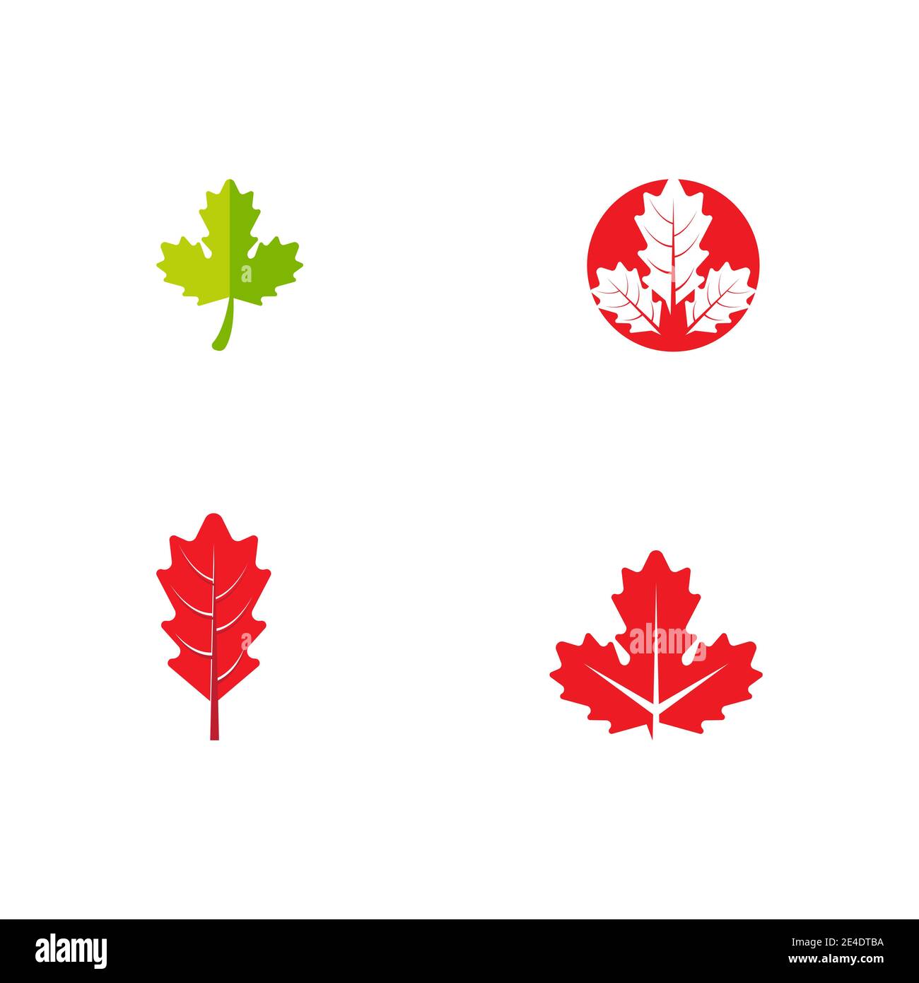 Set Maple leaf vector illustration design template Stock Vector Image ...