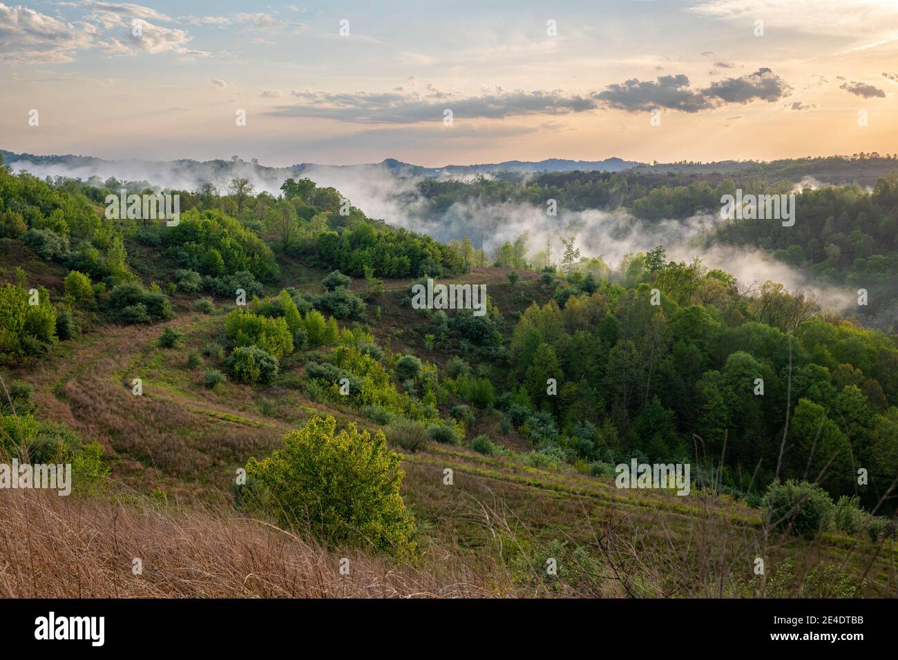 Mist hangs in valley hi-res stock photography and images - Alamy
