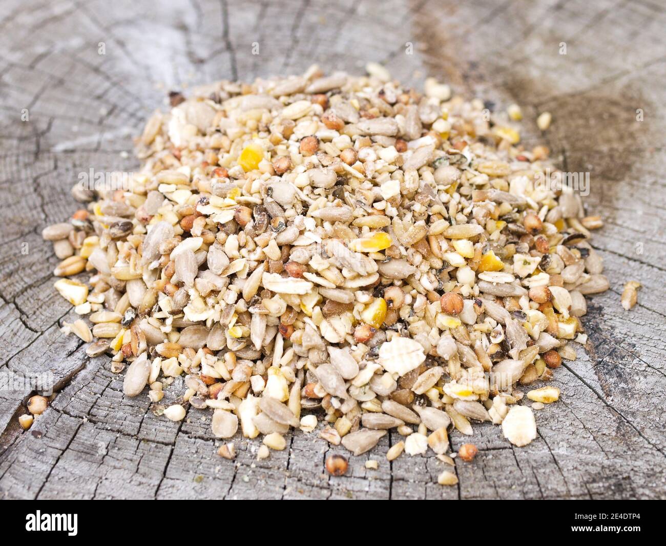 Mixed bird feed suitable for bird feeders for British birds Stock Photo ...