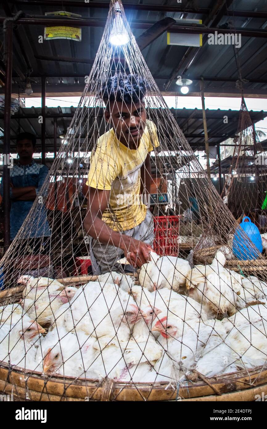 Man selling chicken in Bazar I captured this image from Dhaka ...