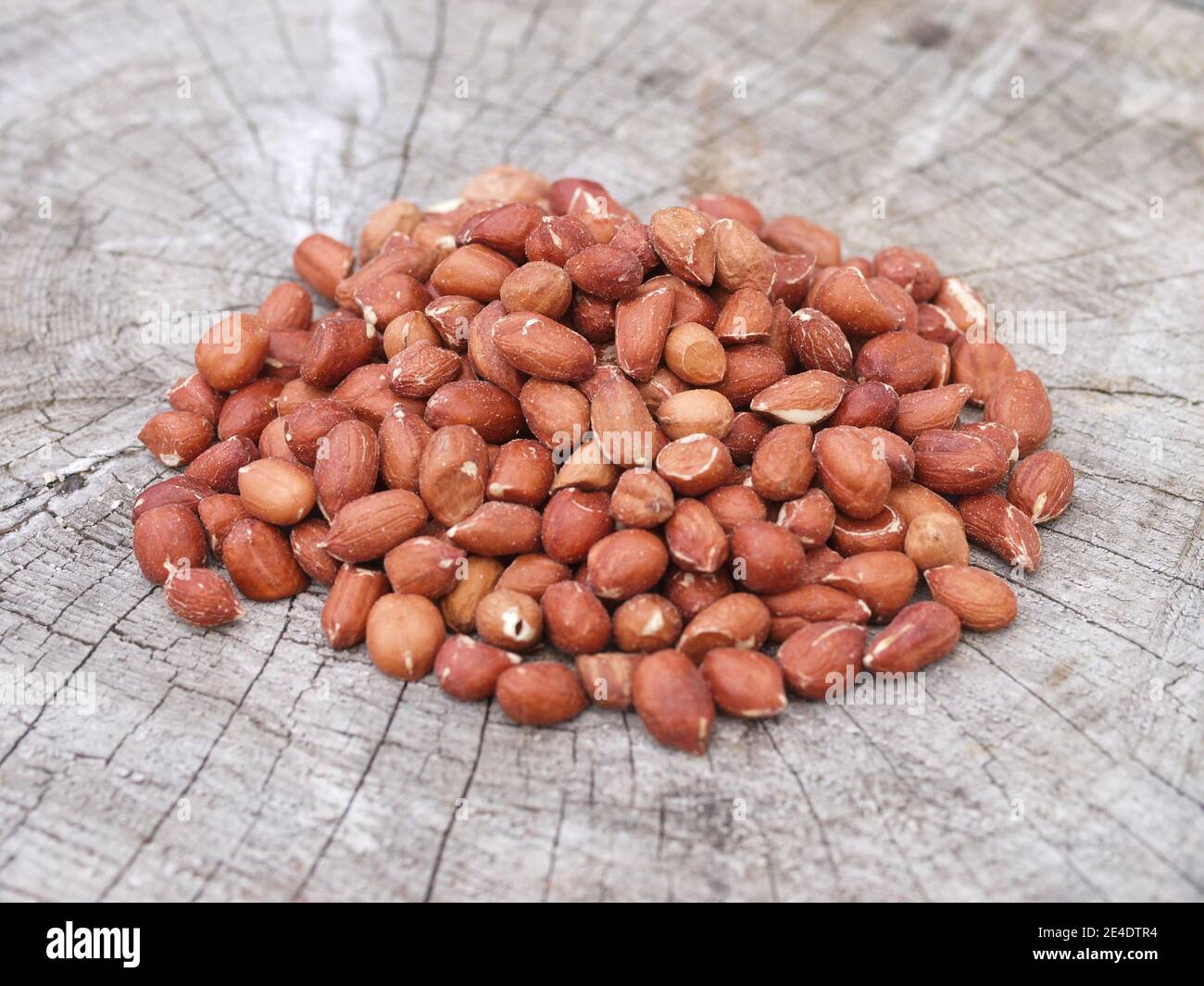 Peanuts suitable for bird feeders for British birds Stock Photo - Alamy