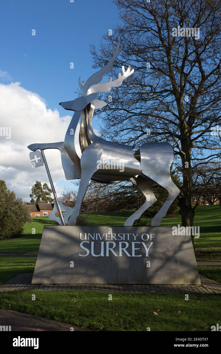 University of surrey hi-res stock photography and images - Alamy