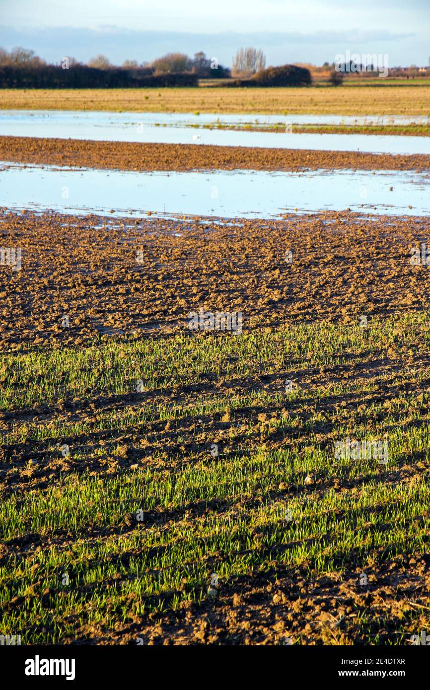 Watertable hi-res stock photography and images - Alamy