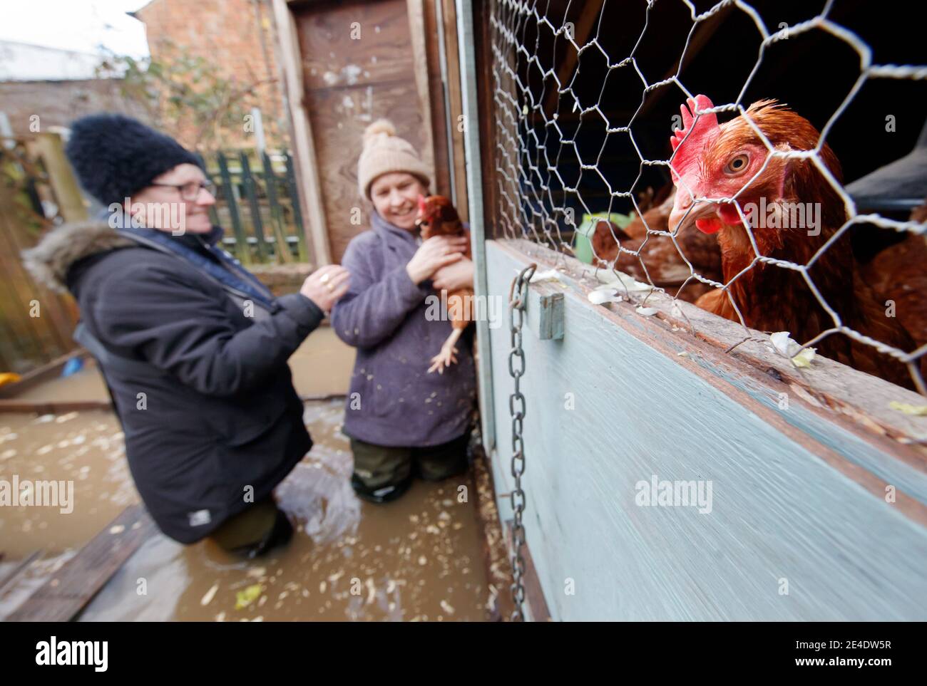 Denise Munday (left) and Ruth Richards (right) check on Ruth's rescued ...