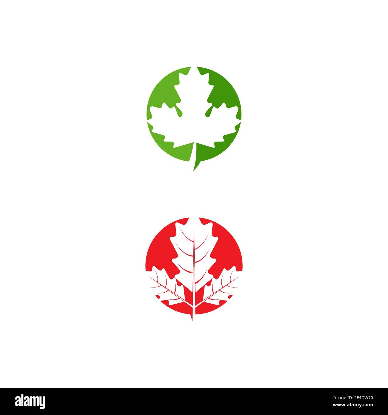 Maple leaf vector illustration design template Stock Vector Image & Art ...
