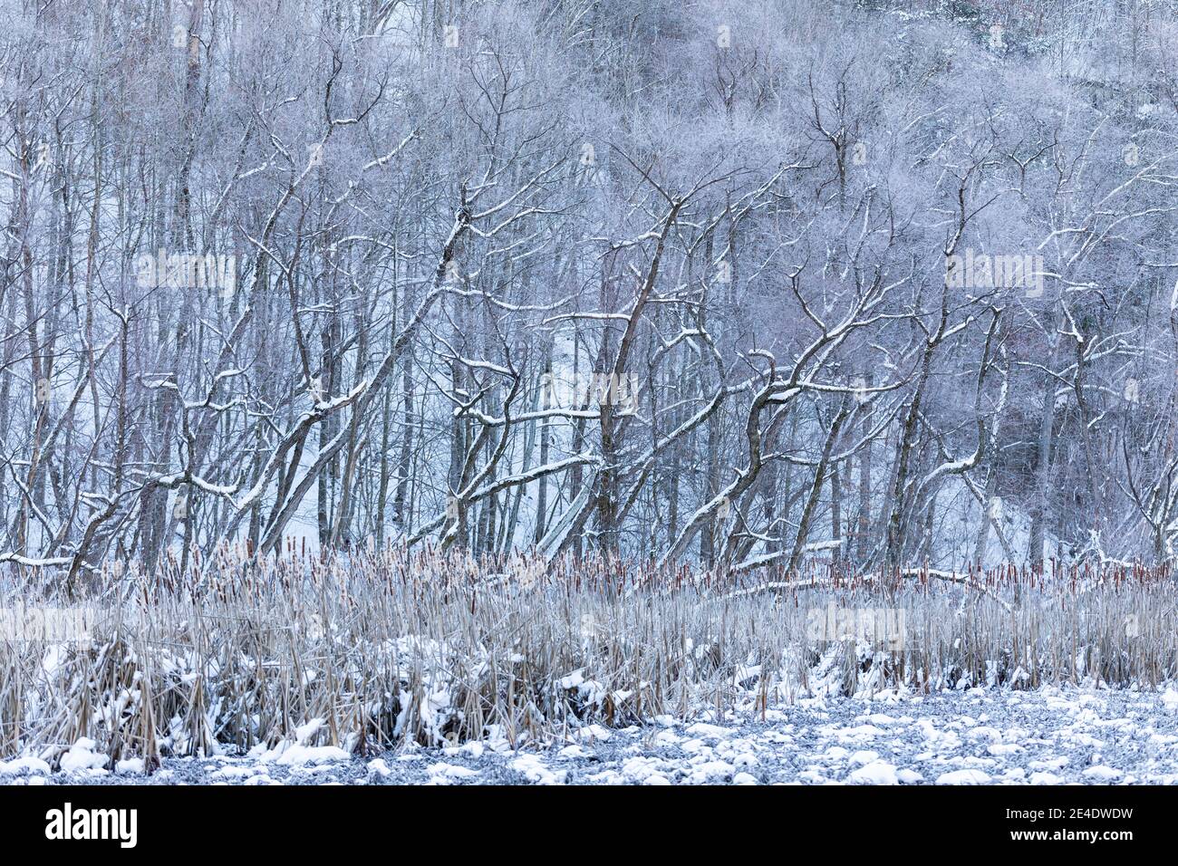 A morning winter scene in rural Appalachia Stock Photo - Alamy