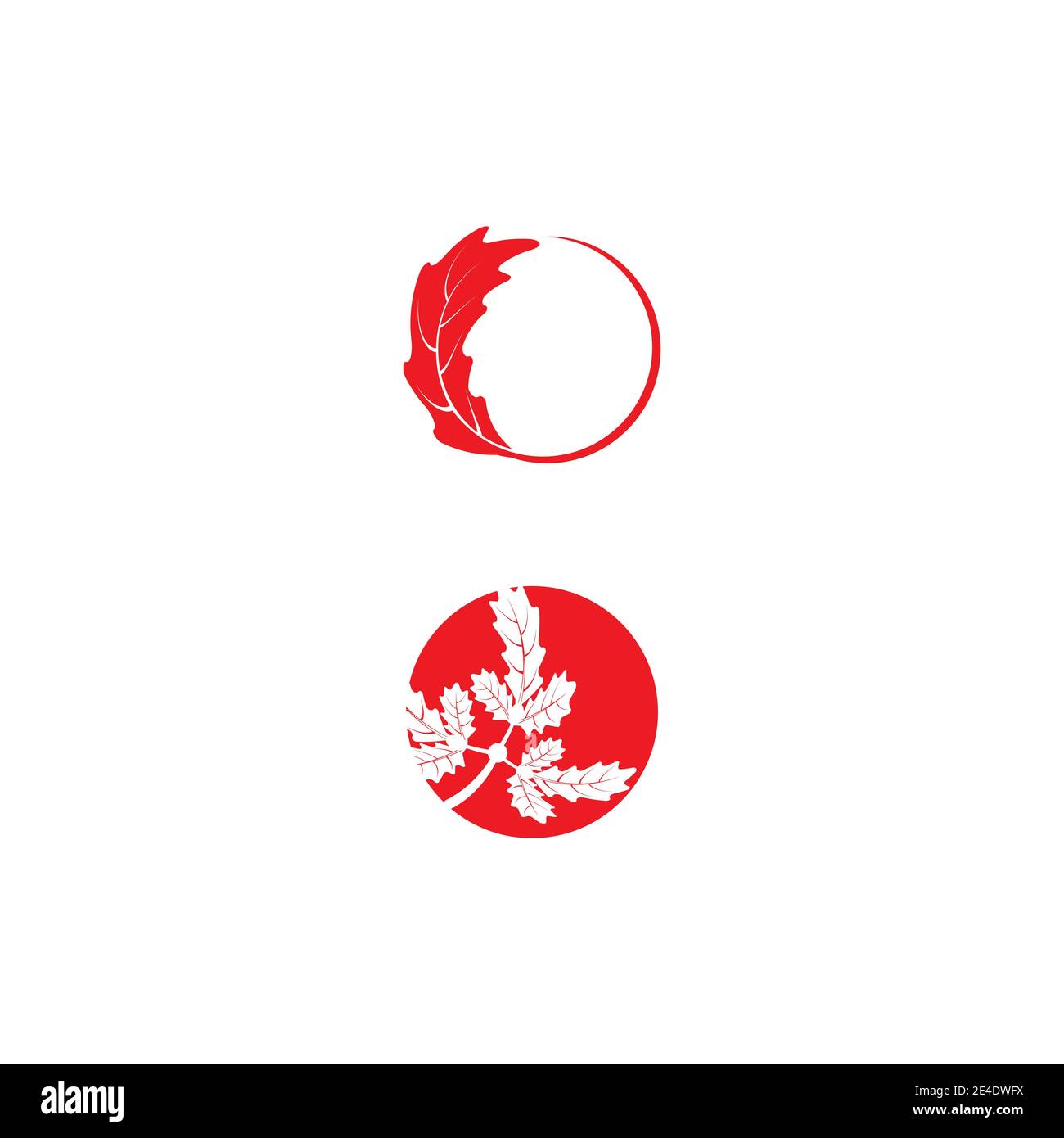 Maple leaf vector illustration design template Stock Vector Image & Art ...