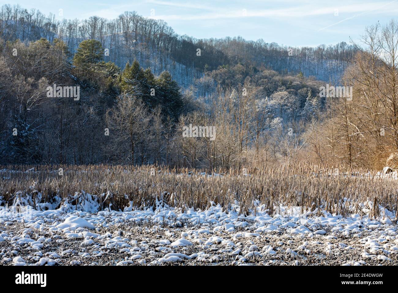 A morning winter scene in rural Appalachia Stock Photo - Alamy