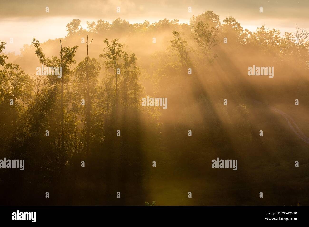 Rural mountains of Appalachia, U.S.A Stock Photo - Alamy