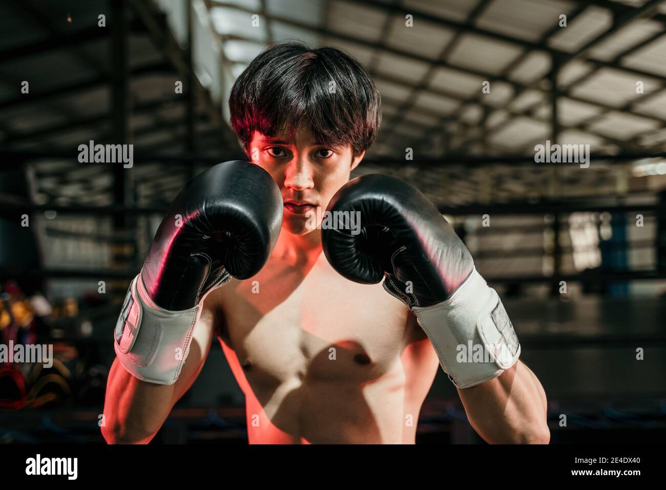 muscular male boxer wearing boxing gloves in the arena Stock Photo - Alamy
