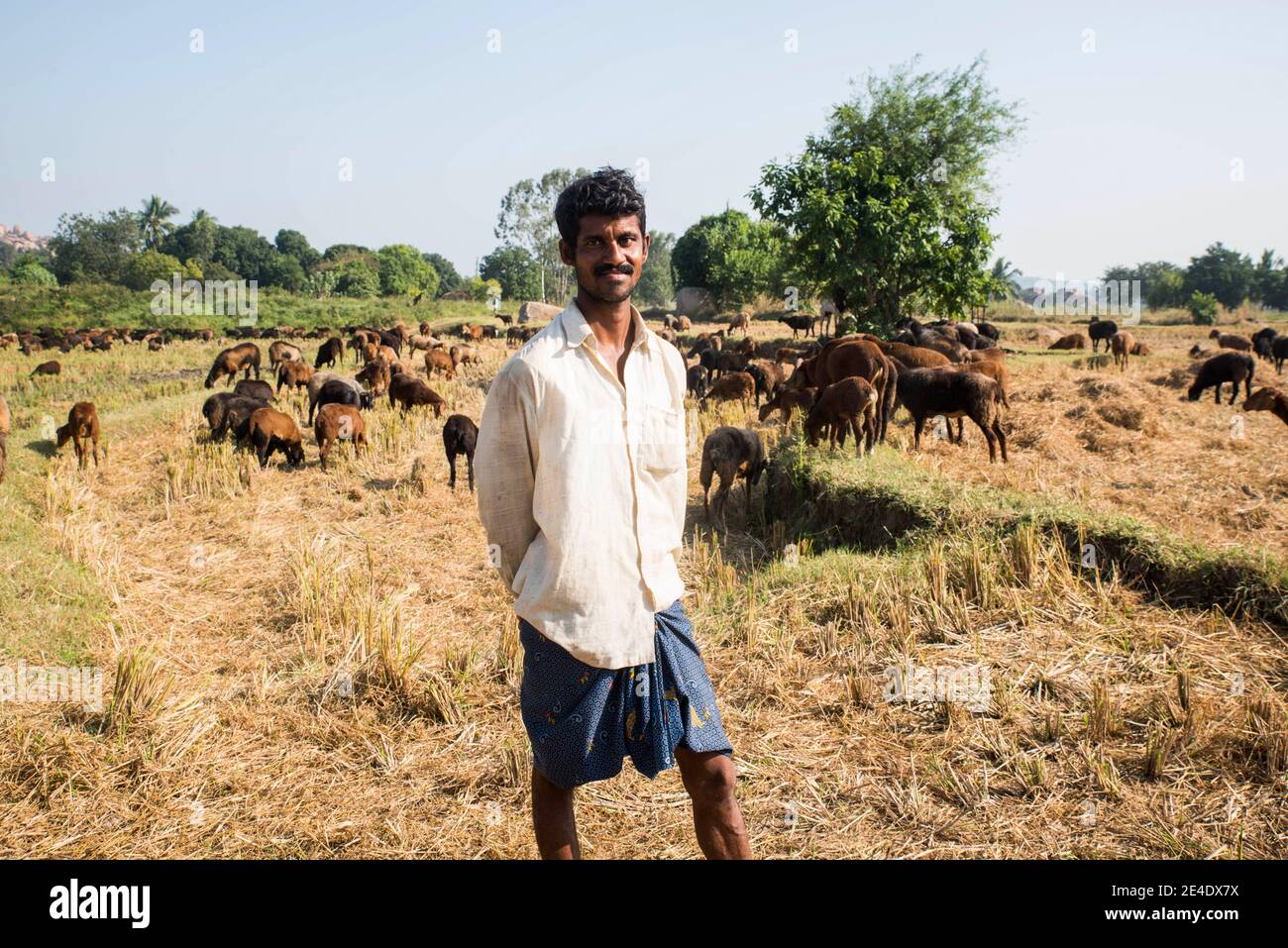 wandering Indian shepherd family with their sheeps Stock Photo - Alamy