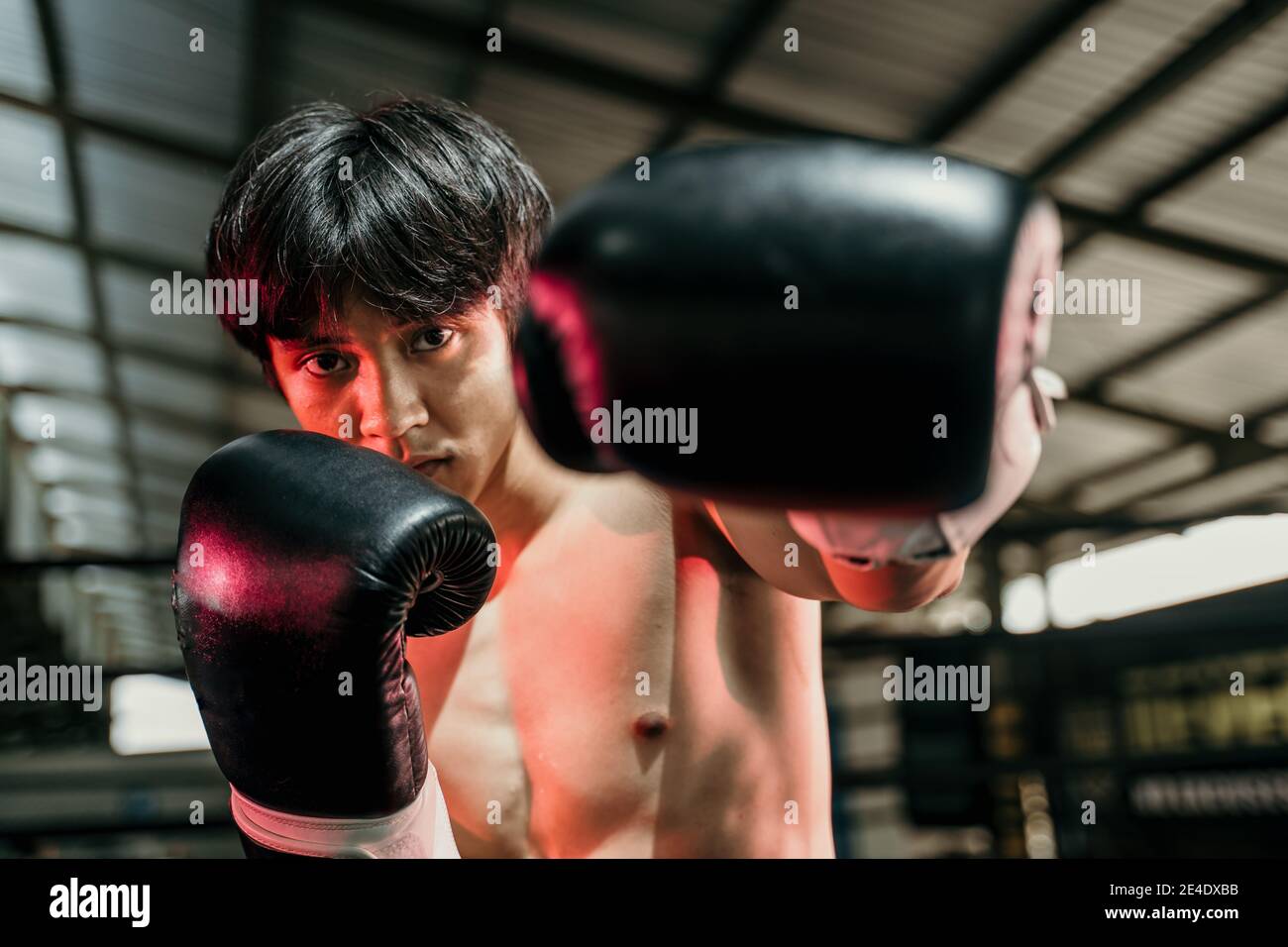 Stand wearing hi-res stock photography and images - Alamy