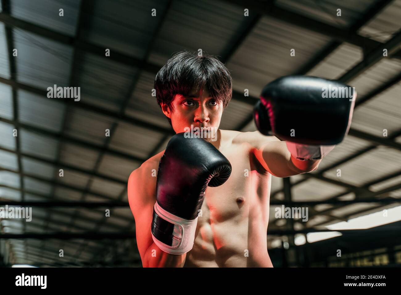 Strong young man stand wearing boxing gloves with punch in the boxing ...