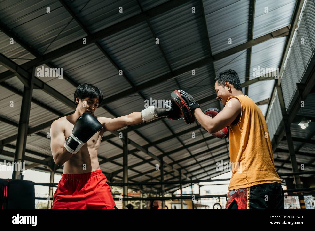 man fighter and coach training together with punching pads at boxing ...