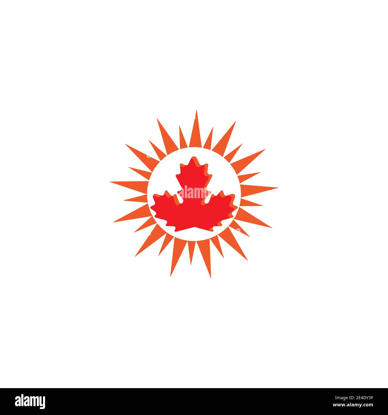 Maple leaf vector illustration design template Stock Vector Image & Art ...