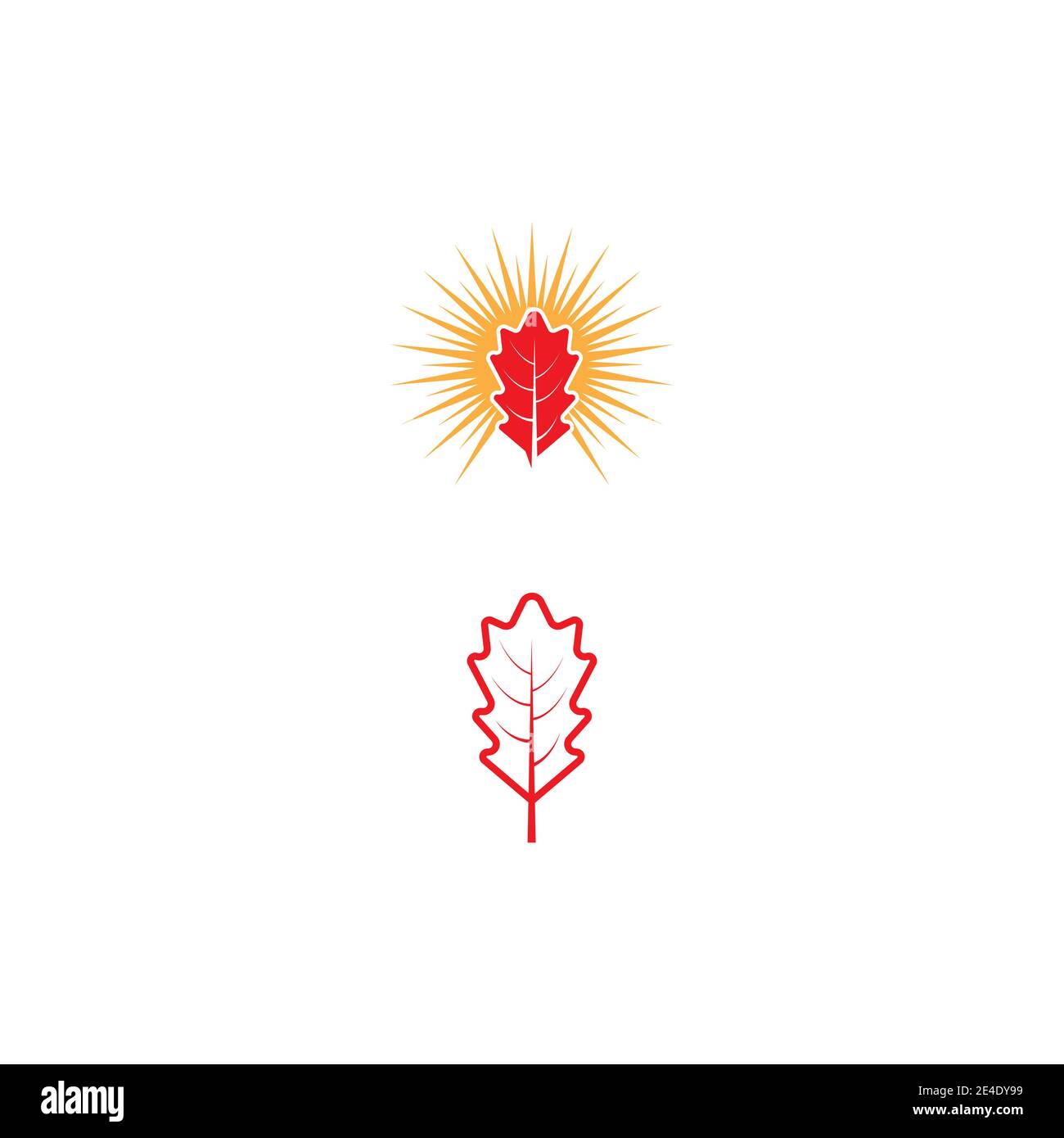Maple leaf vector illustration design template Stock Vector Image & Art ...
