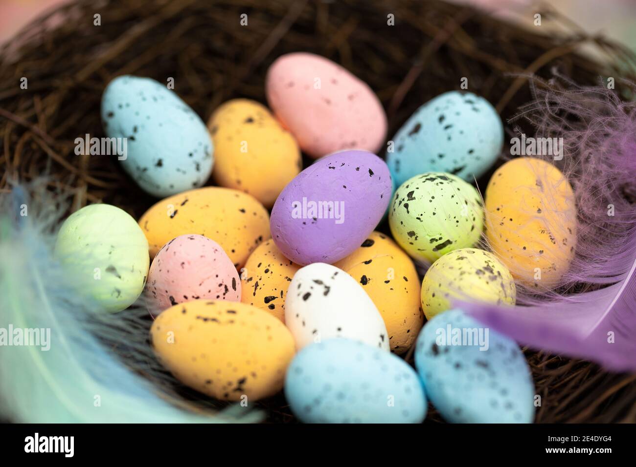 Easter eggs in a bird's nest pastel colores, Easter, spring, Nature ...