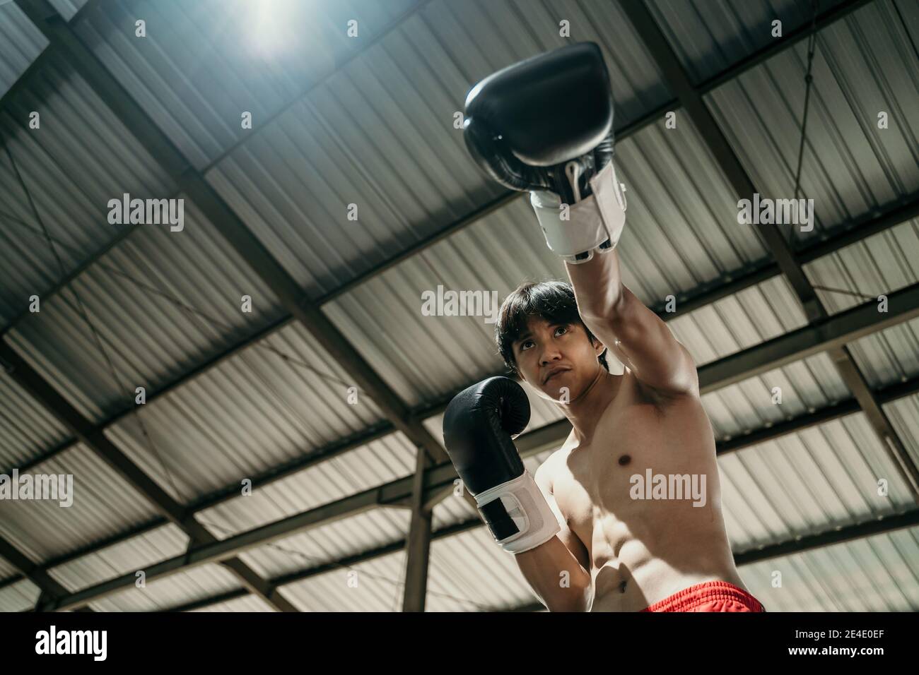 snap the photo from below of boxer in the ring background make a punch ...