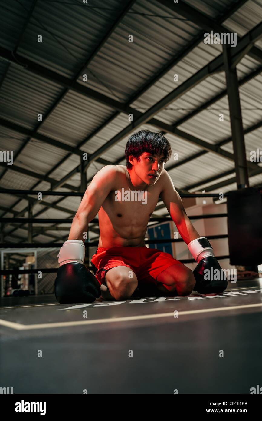boxer fighter in boxing gloves sits on the floor of the ring Stock ...