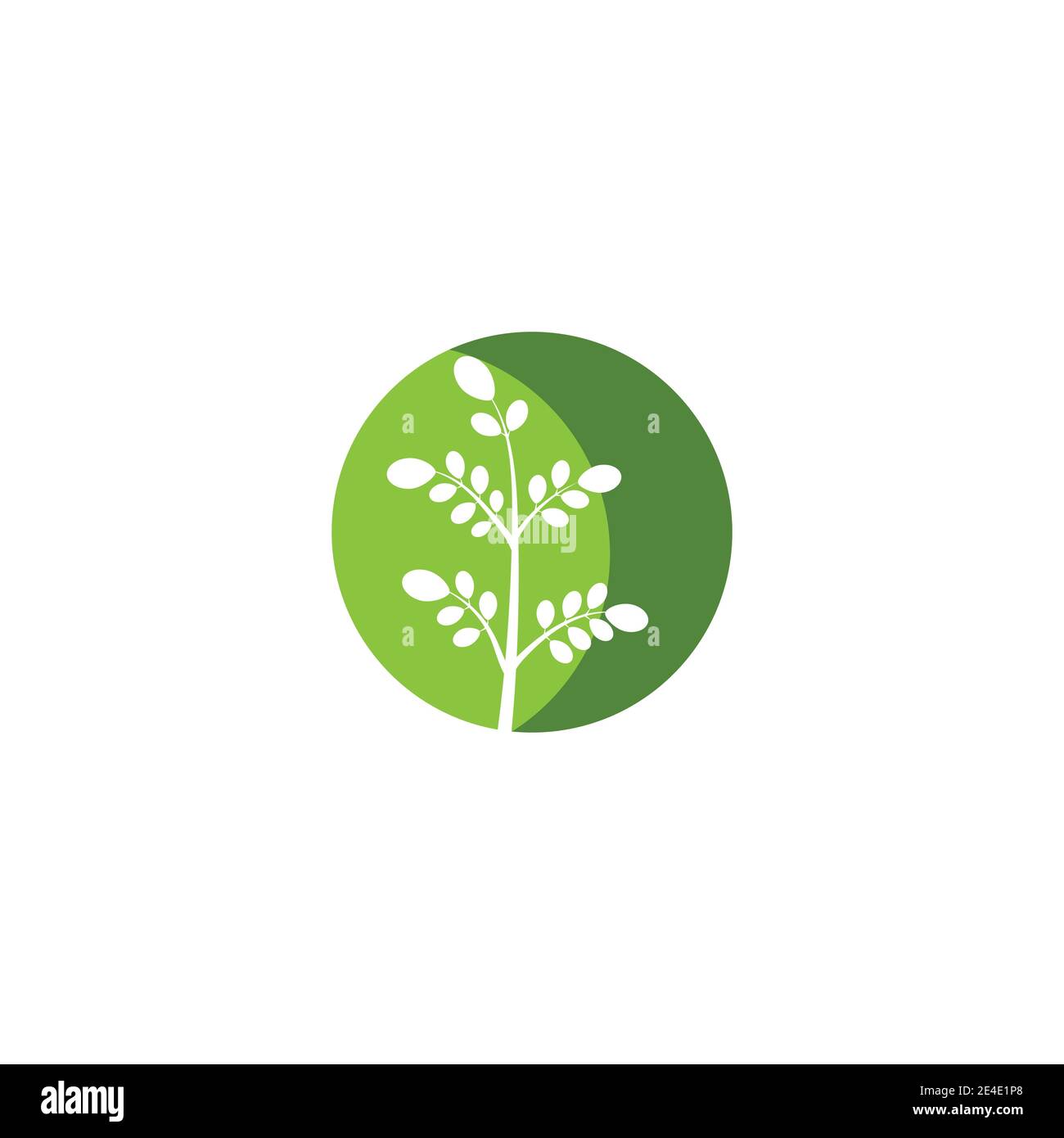 Moringa leaf Logo Template vector symbol nature Stock Vector Image ...