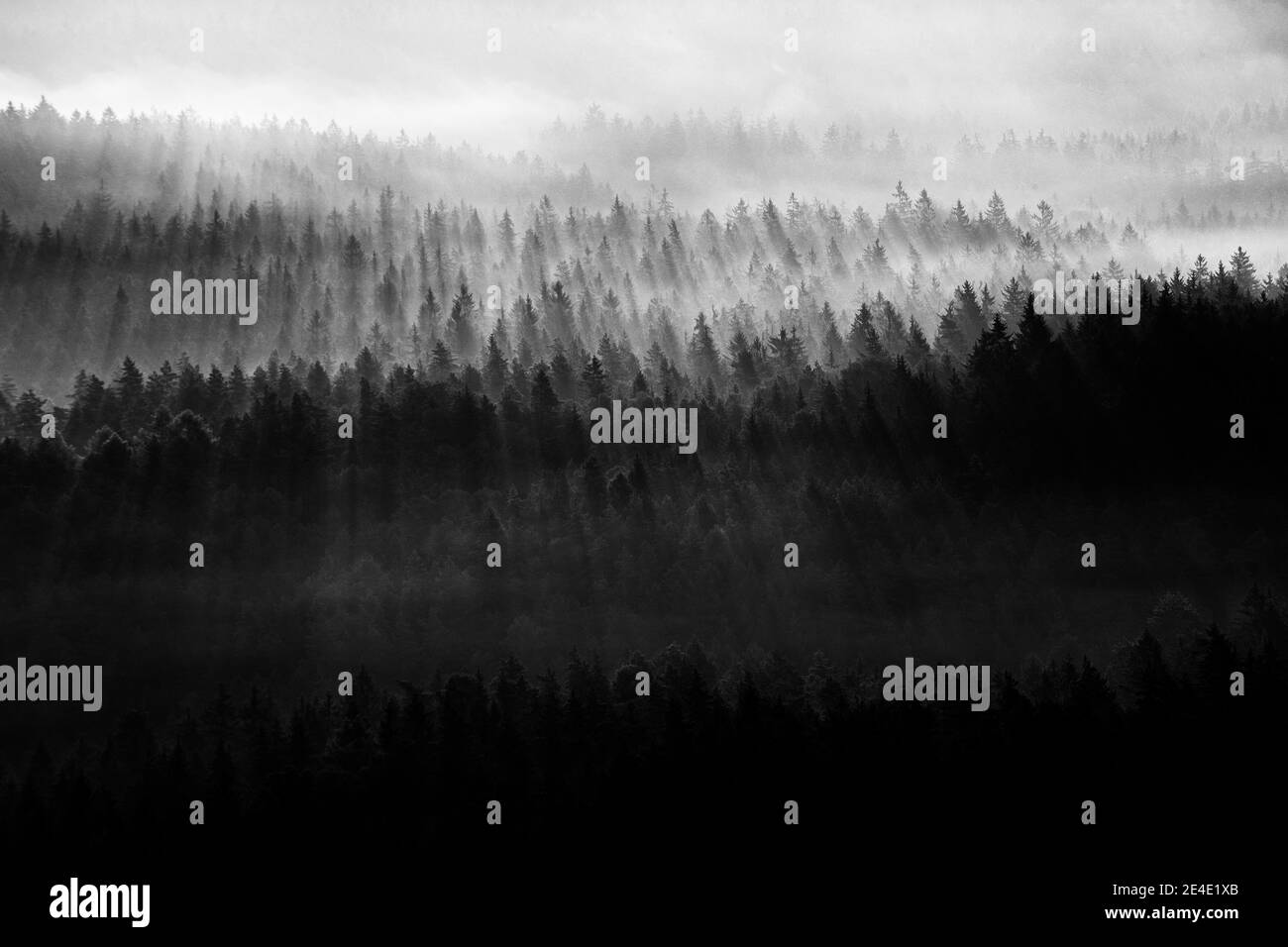 Colorful sun ray Black and White Stock Photos & Images - Alamy