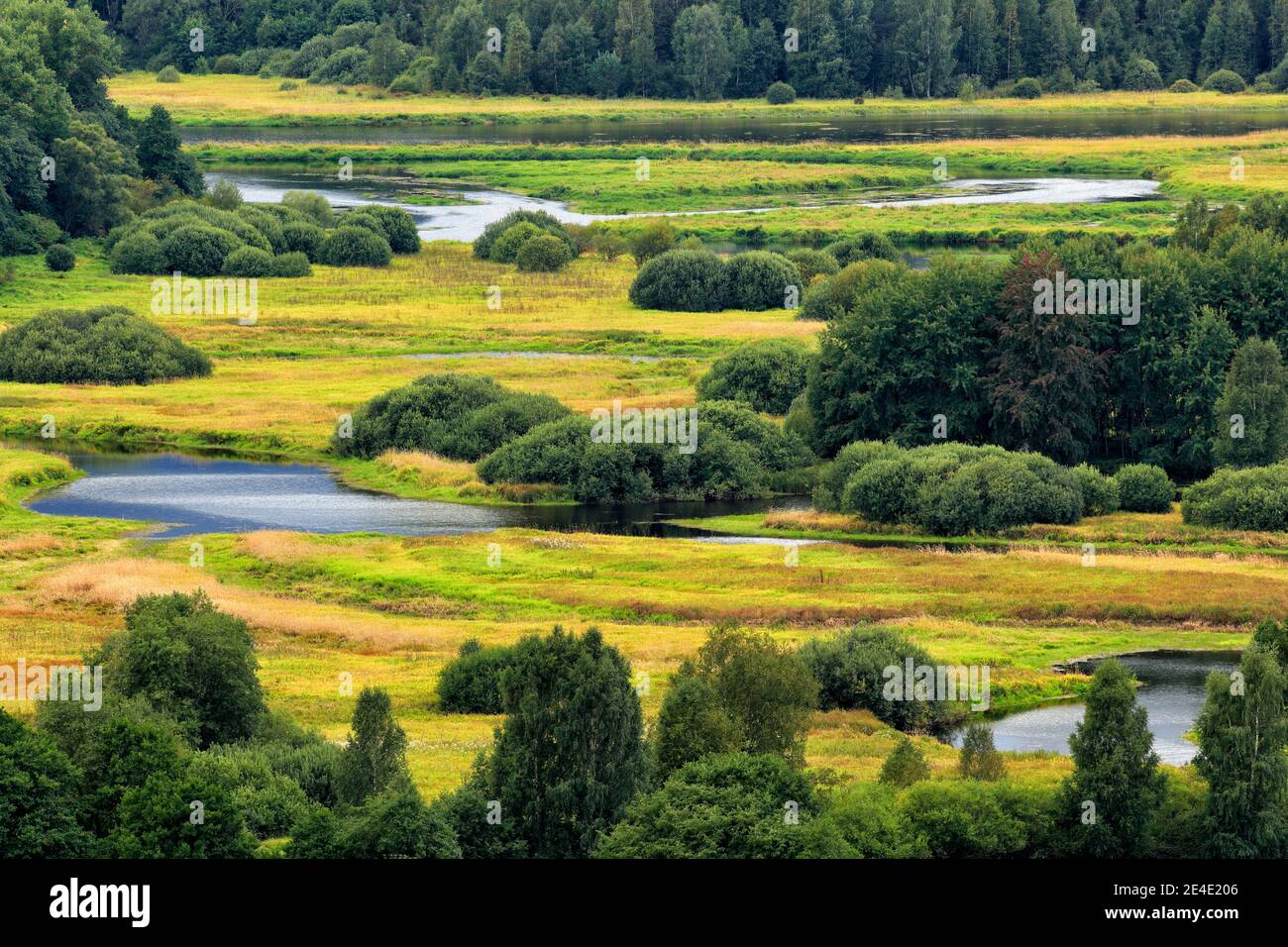 Green forest with river meanders. Typical landscape around Vltava river ...
