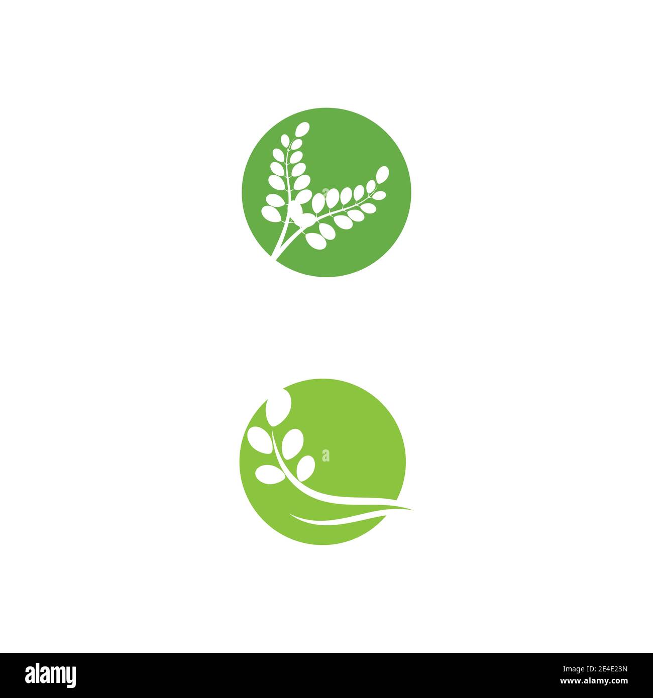 Moringa leaf Logo Template vector symbol nature Stock Vector Image ...