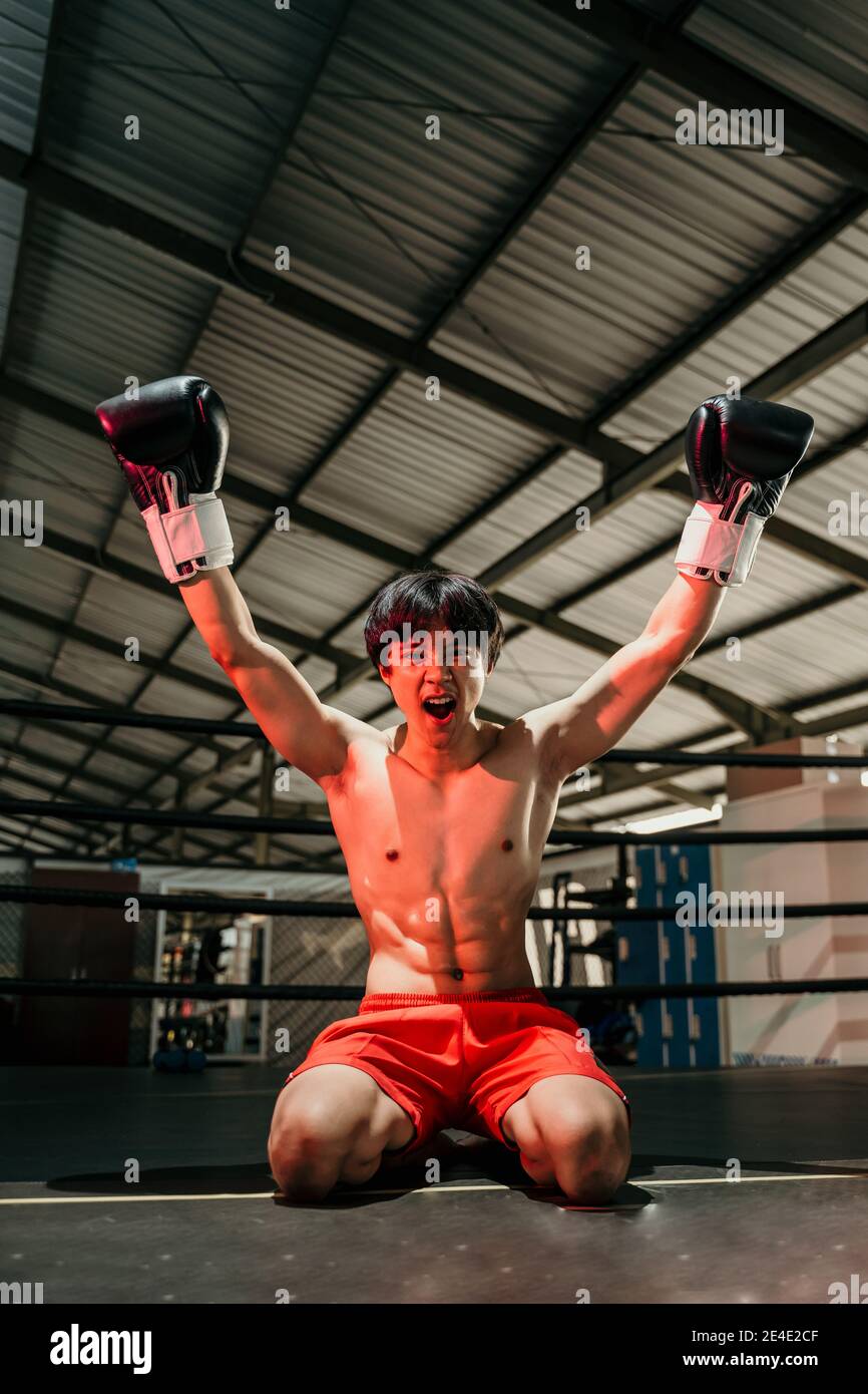 Young man looking aggressive in boxing gloves when winning raises both ...