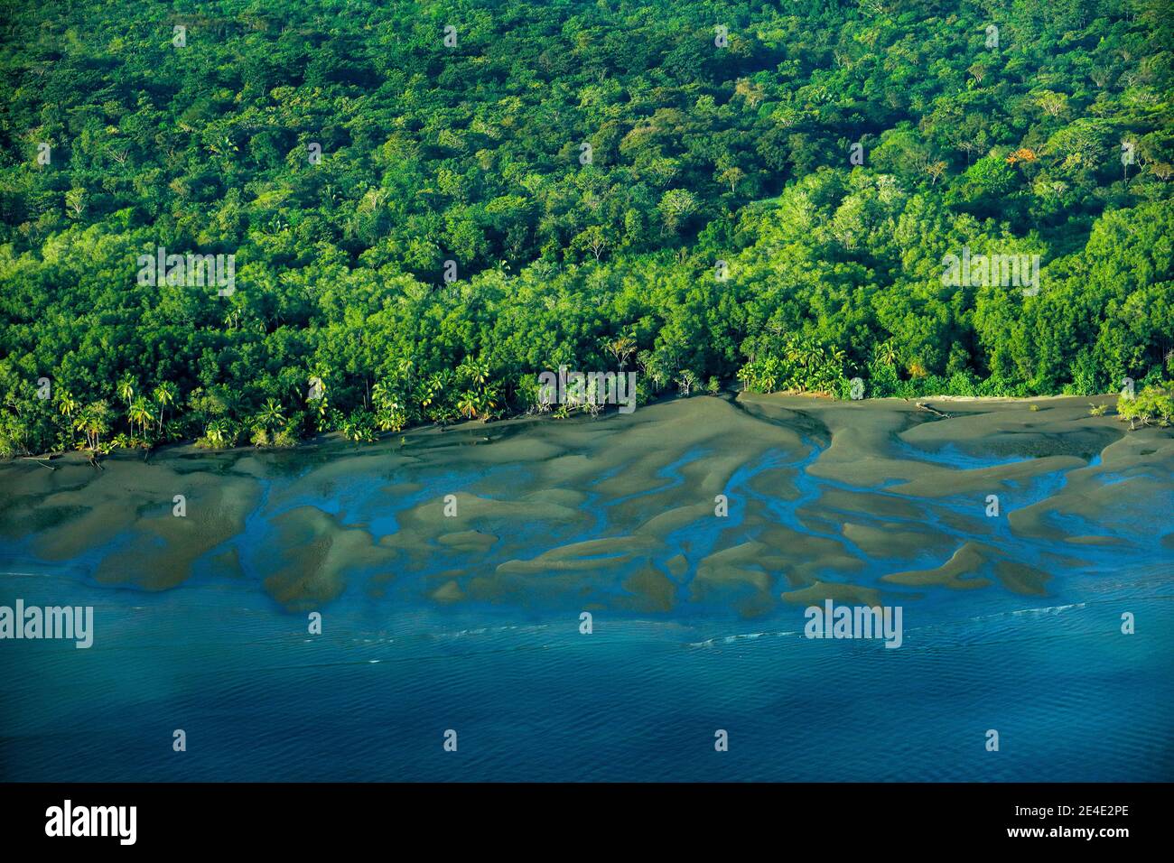 Ocean coast and tropic jungle forest in Costa Rica. River in tropic ...