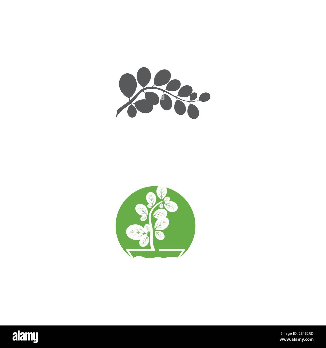 Moringa leaf Logo Template vector symbol nature Stock Vector Image ...
