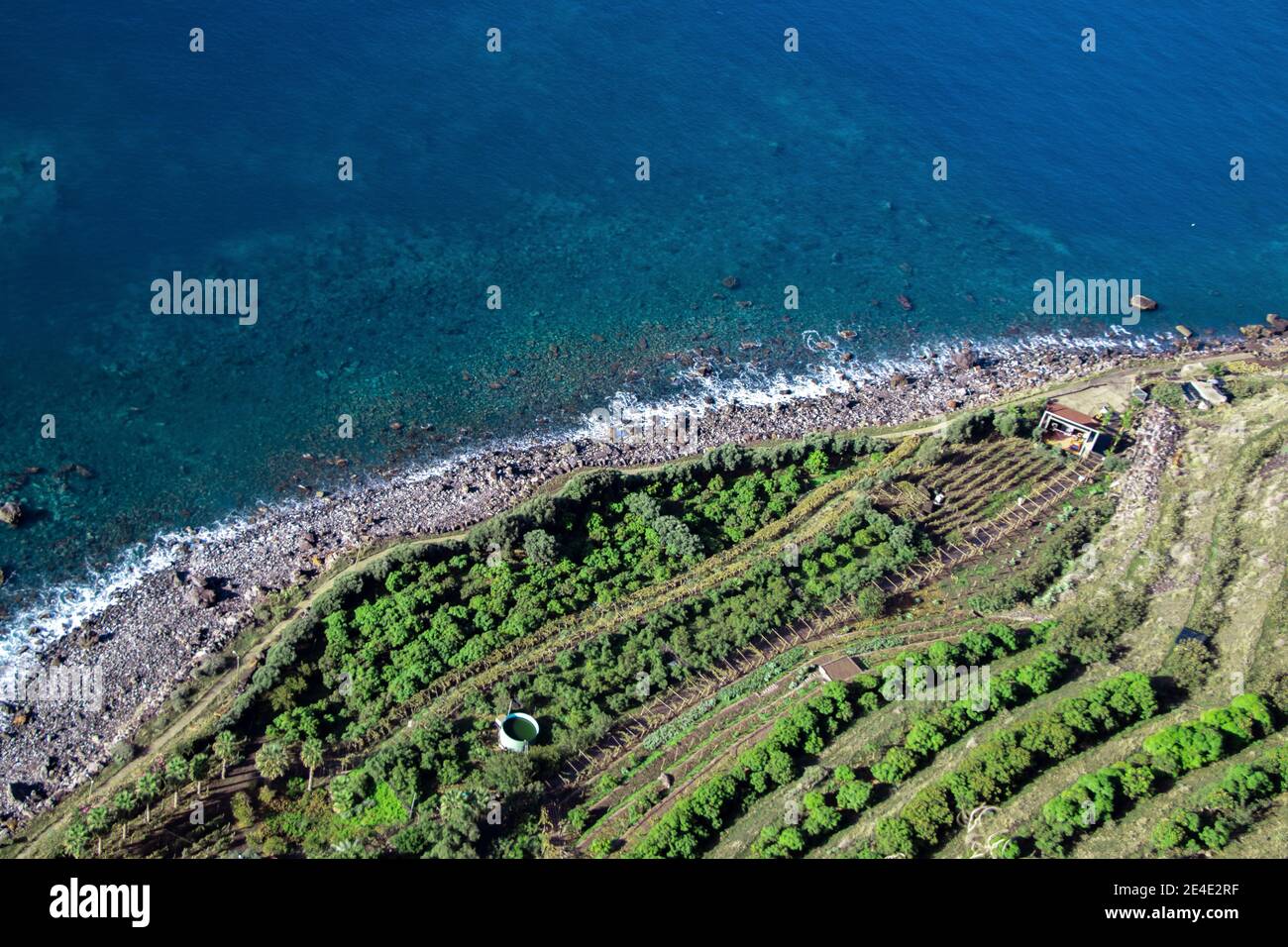 Aerial view of shoreline crops in Madeira Island Stock Photo - Alamy