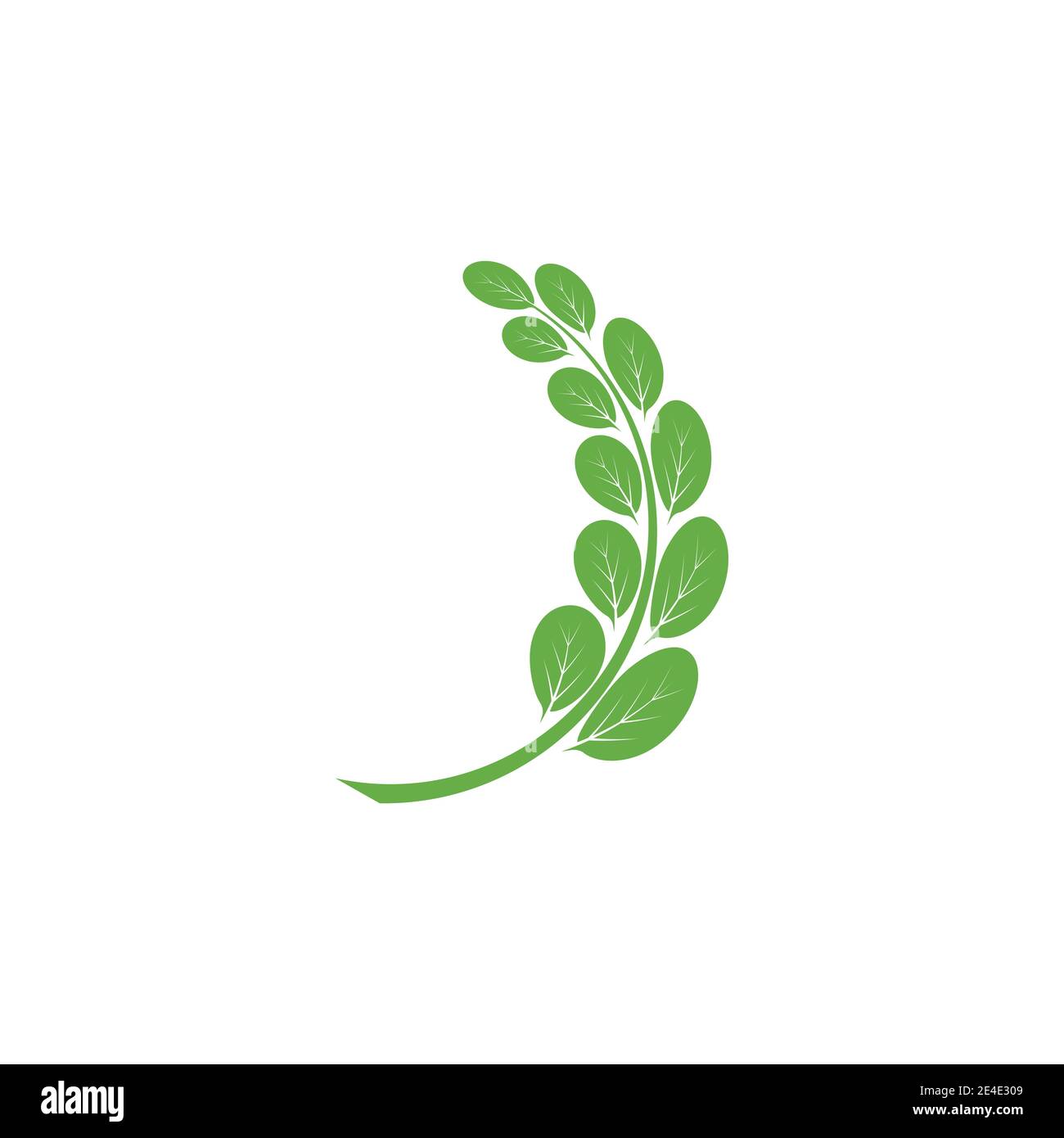 Moringa leaf Logo Template vector symbol nature Stock Vector Image ...