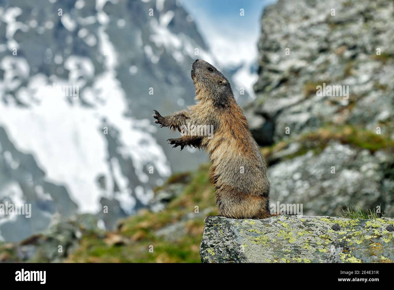 Overweight ma hi-res stock photography and images - Alamy