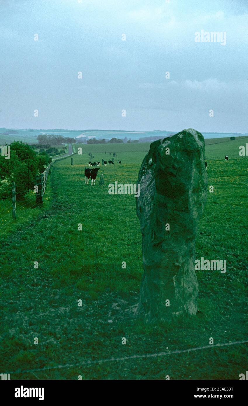 Neolithic henge monument containing three stone circles, around the ...
