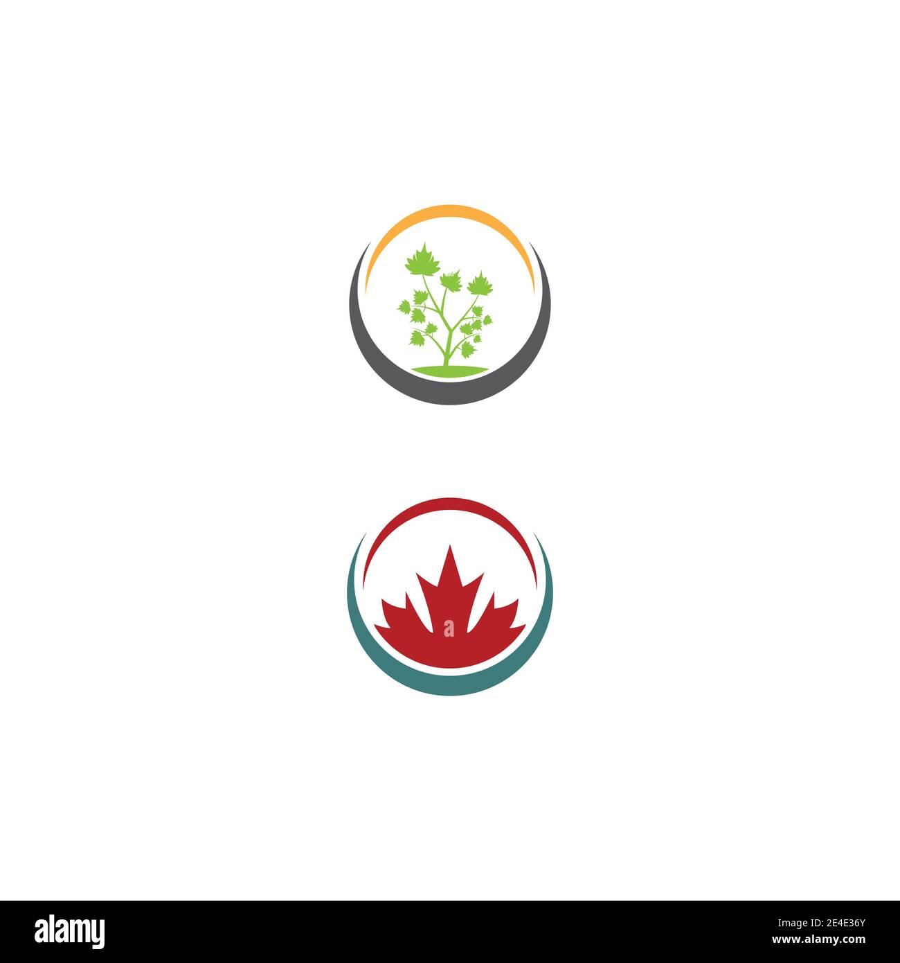 Maple leaf vector illustration design template Stock Vector Image & Art ...