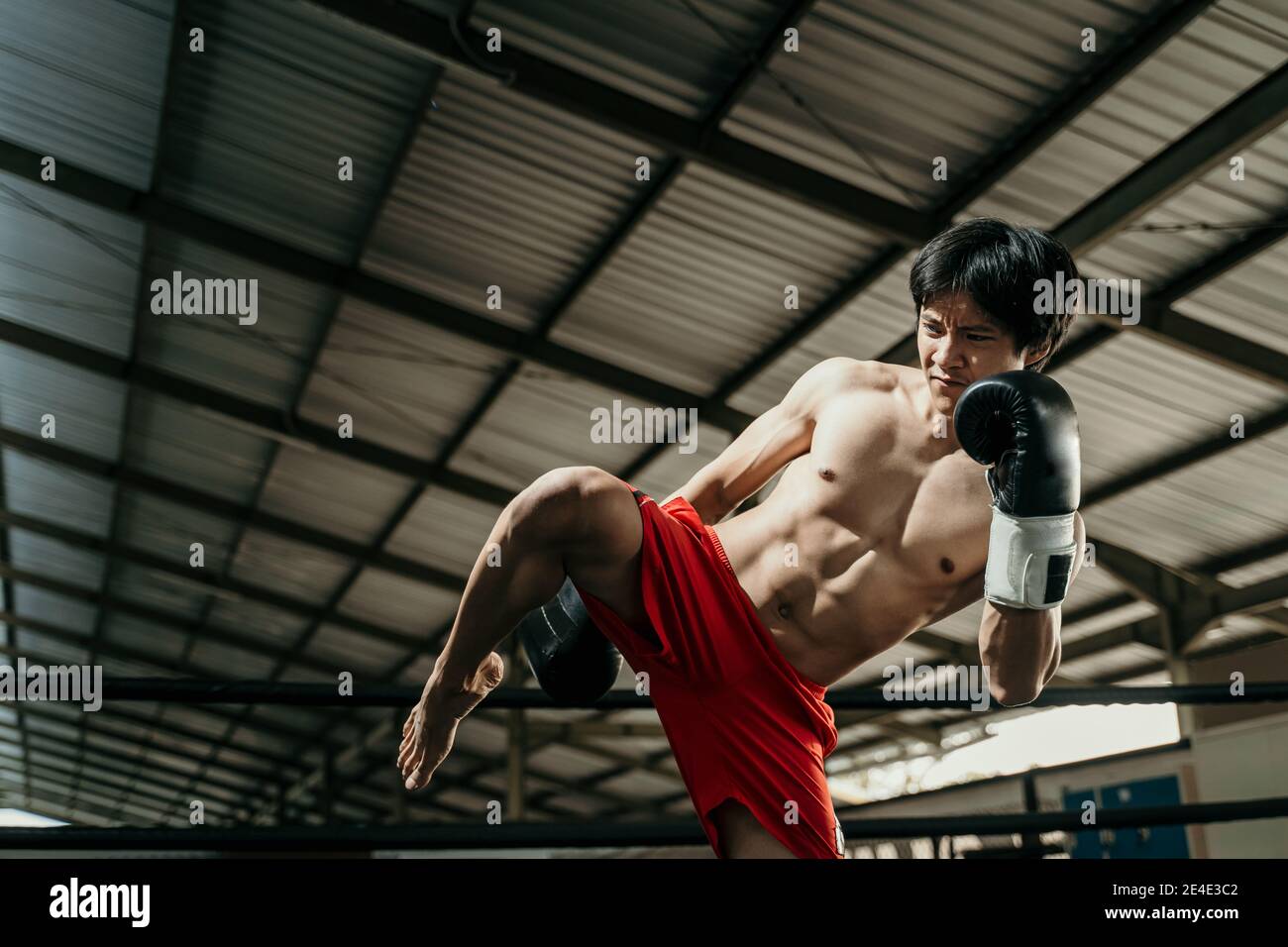 aggressive boxer in boxing gloves makes knee kick on the boxing ring in ...